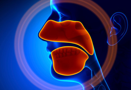 Papilomatosis laríngea respiratoria Archives - Martha Debayle