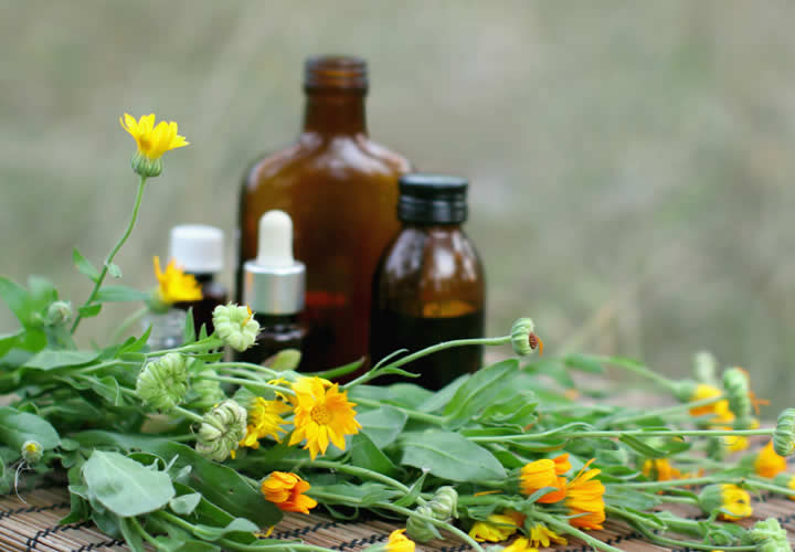 Lideres: La Herbolaria