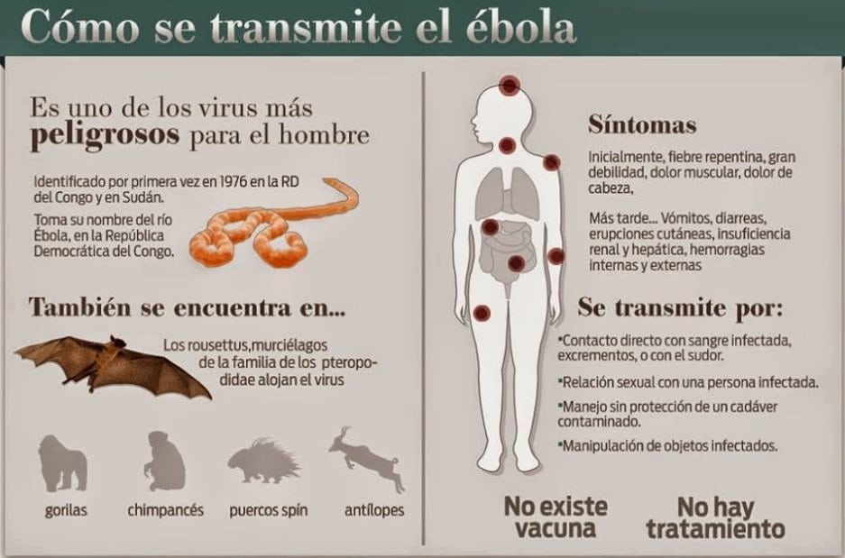 Los 10 virus más mortales - Martha Debayle