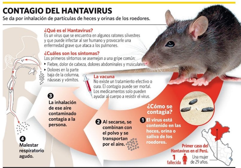 Los 10 virus más mortales - Martha Debayle